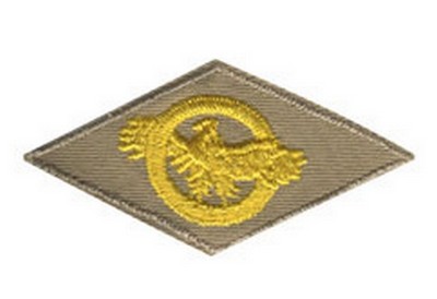 Military Ruptured Duck Memorial Patch: Army Navy Shop
